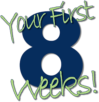 Student Engagement | massbay